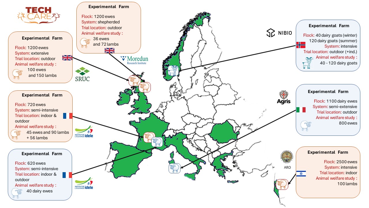 Spotlight on the 7 TechCare pilot farms – TechCare Project